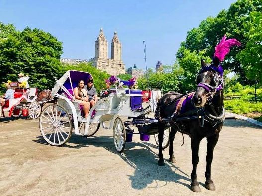 Recommended Family Activities In NYC Consumers Verified